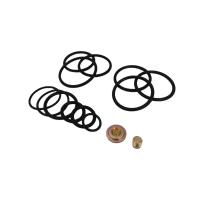 China DWS 3 5/8 Compact Redress Kit Downhole Completion Rebuilt Rubber Seal for sale