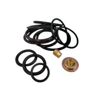 China DWS 3 5/8 Compact Redress Kit Downhole Completion Rebuilt Rubber Seal for sale