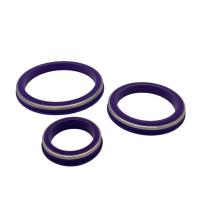 China High Pressure 15000psi Hammer Union Seals with Stainless Steel Back-ups for sale