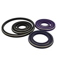 China Fig 206 1004 1502 2002 602 1002 NBR HNBR FKM Hammer Union Seals with stainless steel for sale