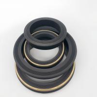 China Elastomer 1502 Union Lip Seal Gasket With Buna W/ Stainless Steel Backing for sale