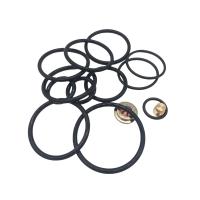 China High Quality Custom NBR HNBR FKM EPDM Seal Tool DWS 3 5/8 COMPACT Redress Kit for sale