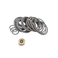 China OEM/ODM Available Nitrile Fluorelastomer Bridge Plugs 10 BP3.SEC Adapter Kits For Redressing for sale