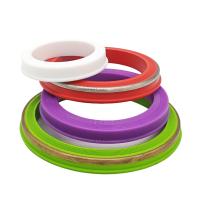 China Customizable Temperature Resistant Hammer Union Seals For Oil And Gas Industry for sale