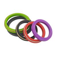 China High-Temperature Resistant Hammer Union Seal For Oilfield Operations for sale