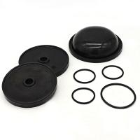 China Diaphragm Pump Membrane Kits Rubber Seal Kits for sale