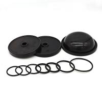 China Ar Membrane Kit Widely Used In Diaphragm Pumps And Hydraulic Accumulators for sale