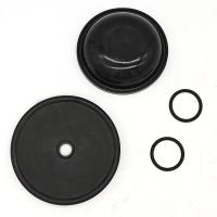China Ar Membrane Kit Widely Used In Diaphragm Pumps And Hydraulic Accumulators for sale