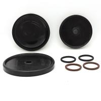 China Blueflex Diaphragm Kit For AR30/40 Pumps Oil Resistant NBR Or FKM Rubber for sale