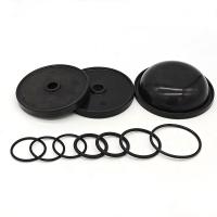 China Blueflex Diaphragm Kit For AR30/40 Pumps Oil Resistant NBR Or FKM Rubber for sale