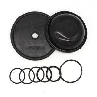 China Diaphragm Pump Repair Kit NBR FKM Rubber Material for sale