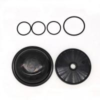 China Blueflex Diaphragm Kit For Ar30/40 Pumps for sale