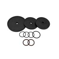 China Blueflex Diaphragm Kit For AR30/40 Pumps Oil Resistant NBR Or FKM Rubber for sale