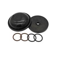 China High Pressure Water Pump Diaphragm Accumulator Membrane Replacement For AR30 AR40 for sale