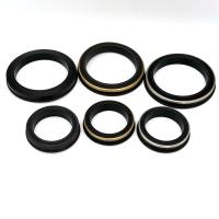 China High-Pressure 15,000 PSI Hammer Union Lip Seal with Oilfield Grade NBR and Self-energized Design for sale