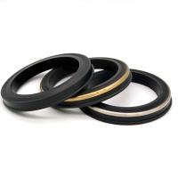 China High-Pressure 15,000 PSI Hammer Union Lip Seal with Oilfield Grade NBR and Self-energized Design for sale