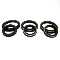China High-Pressure 15,000 PSI Hammer Union Lip Seal with Oilfield Grade NBR and Self-energized Design for sale