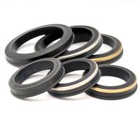 China NBR HNBR FKM PTFE Rubber Lip Seal Ring for Hammer Union - Oil and Chemical Resistant Weco Seal for sale