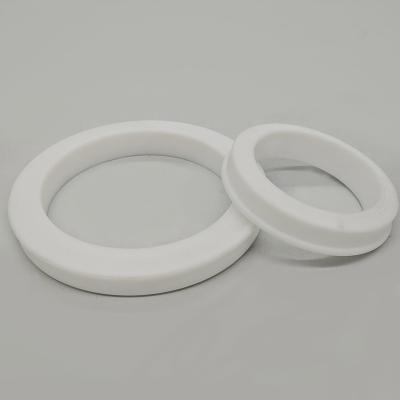 China PTFE Hammer Union Seal 2