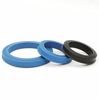 China H2S Resistant FKM Hammer Union Lip Seal for Sour Gas Service with 15000 PSI Rating for sale