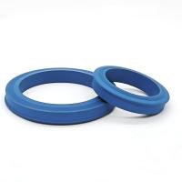 China PTFE Hammer Union Seal 2