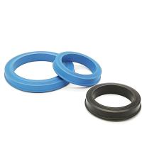 China Standard Figure Hammer Union Lip Seals for Well Service Components for sale