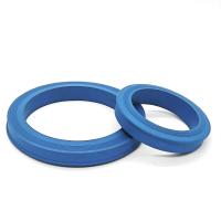 China Standard Figure Hammer Union Lip Seals for Well Service Components for sale