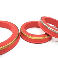 China High-Pressure 20,000 PSI Hammer Union Seal with Corrosion Resistant NBR HNBR FKM PTFE Materials and Customizable Sizes for sale