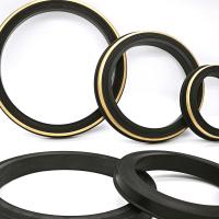 China 80-85 Shore A Oil Resistant Chemical Resistant Hammer Union Seal for Oilfield Applications for sale