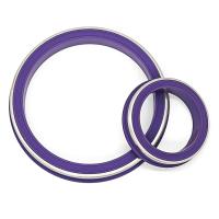 China 80-85 Shore A Oil and Chemical Resistant Hammer Union Seal Lip Seal Ring for Oilfield Applications for sale