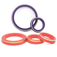 China Pressure Resistant Hammer Union Rubber Seal In NBR HNBR FKM PTFE 6000-15000 PSI for sale