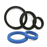 China High Pressure FKM Hammer Union Lip Seal Compatible with Fig 1502 602 1002 for Oil and Gas Industry for sale