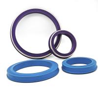 China 80-85 Shore A Oil and Chemical Resistant Hammer Union Seal Lip Seal Ring for Oilfield Applications for sale