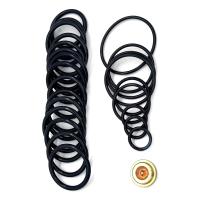 China 15,000 PSI #10 Style Wireline Adapter Redress Kit with HNBR Viton Aflas NBR Seals ISO 9001 Certified for sale