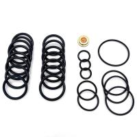 China High-Performance 15,000 PSI Seal Kit for #10 Wireline Pressure Setting Tool with H2S Resistance and ISO 9001 Certification for sale