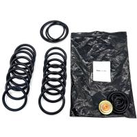 China High-Performance 15,000 PSI Seal Kit for #10 Wireline Pressure Setting Tool with H2S Resistance and ISO 9001 Certification for sale