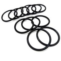China Flexible 70 Shore HSN Elastomer O-Rings for Downhole Drilling Equipment for sale
