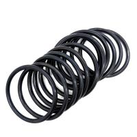 China Flexible 70 Shore HSN Elastomer O-Rings for Downhole Drilling Equipment for sale