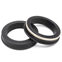 China High-Pressure 20,000 PSI Hammer Union Seal and Gasket for Sour Service (H2S) with PTFE Material for sale