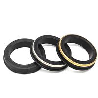 China High-Pressure 20,000 PSI Hammer Union Seal and Gasket for Sour Service (H2S) with PTFE Material for sale