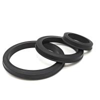 China High-Pressure Hammer Union Lip Seals for Drilling and Well Service with NBR, HNBR, FKM, PTFE Materials Compatible with Fig 602, 1002, 1502 for sale