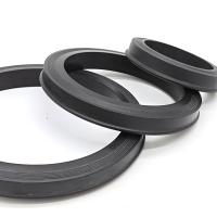 China Chemical Resistant Hammer Union Lip Seal with High-Pressure Performance and Anti-Extrusion Technology for sale