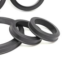 China Chemical Resistant Hammer Union Lip Seal with High-Pressure Performance and Anti-Extrusion Technology for sale
