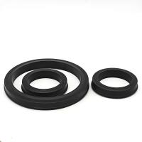China High Pressure Resistance Hammer Union Lip Seal with Multiple Sizes and Chemical Resilience for sale