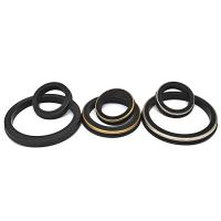 China Durable NBR HNBR FKM PTFE Hammer Union Seals for 6000-20000 PSI Pipeline Connections Compatible with Fig 602 1002 1502 2202 for sale