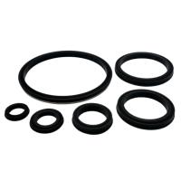 China Durable Hammer Union Seal Designed for Ring Seals and Weco Seals Suitable for Fig206 602 607 1002 1003 and 1502 Applications for sale