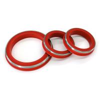 China Temperature Resistant FKM Lip Style Hammer Union Seals with SS Ring Designed for H2S & CO2 Environments for sale