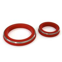 China Temperature Resistant FKM Lip Style Hammer Union Seals with SS Ring Designed for H2S & CO2 Environments for sale