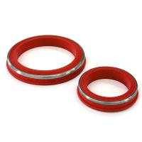 China Temperature Resistant FKM Lip Style Hammer Union Seals with SS Ring Designed for H2S & CO2 Environments for sale
