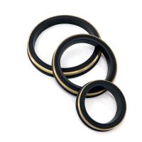 China Premium NBR Hammer Union Seals with Brass Anti-Extrusion Ring | Fig 602, 1002, 1502 High Pressure Lip Seals | Nitrile Oilfield Seals for Pipeline for sale